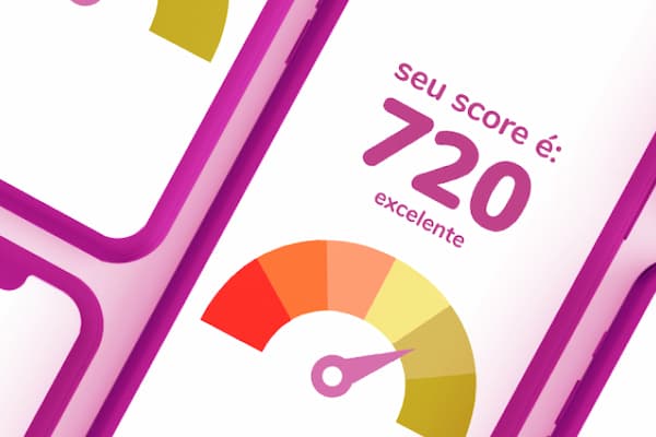 Passo a Passo Para Consultar o Score Serasa